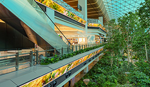 Hamad International Airport in DOHA